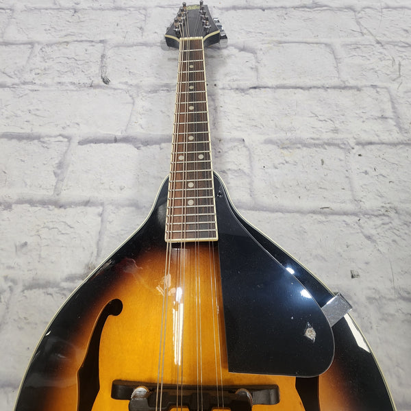 Rogue RM-100A Mandolin - Evolution Music