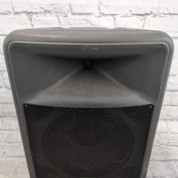 Peavey PR12 Passive Monitor - Evolution Music
