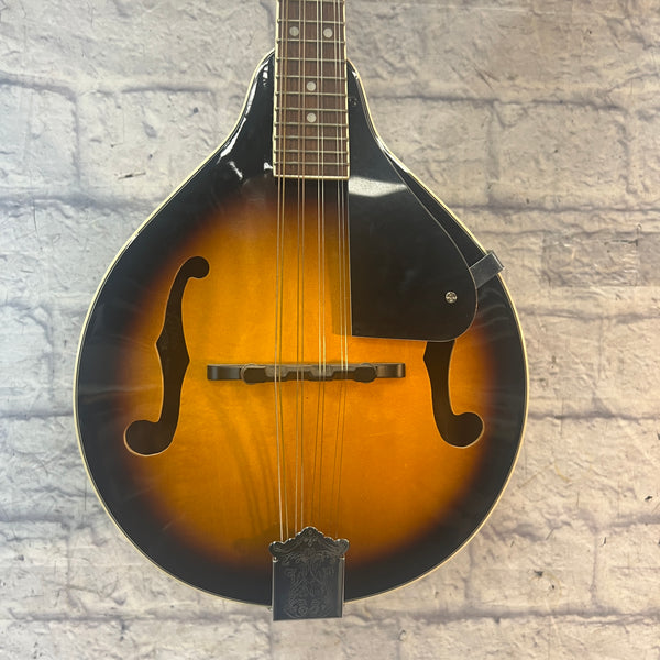 Rogue RM100A A Style Mandolin - Evolution Music