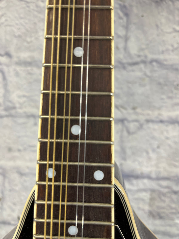 Johnson MA-115-E Mandolin - Evolution Music