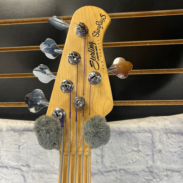 Sterling Sub 5 5-String Bass Guitar - Evolution Music