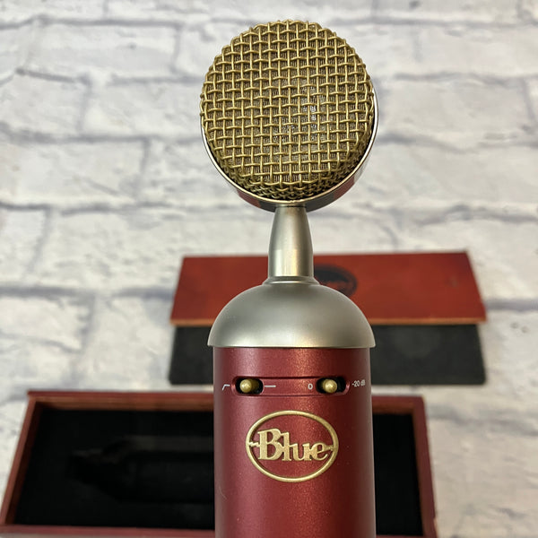 Blue Spark Large Diaphragm Condenser Microphone - Evolution Music
