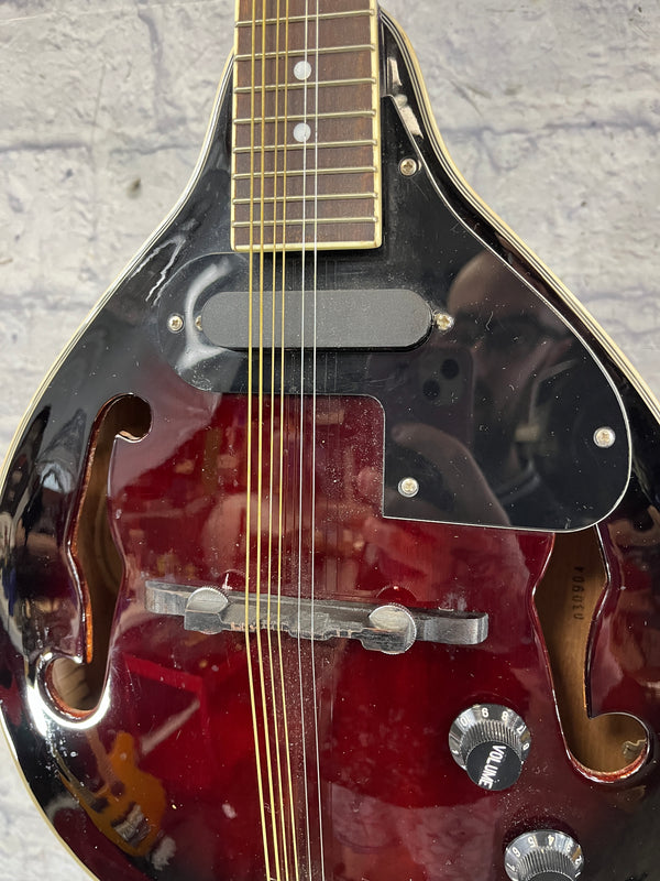 Johnson MA-115-E Mandolin - Evolution Music