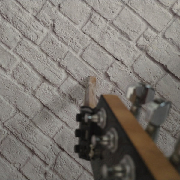 Rogue RD80 Acoustic Guitar - Evolution Music