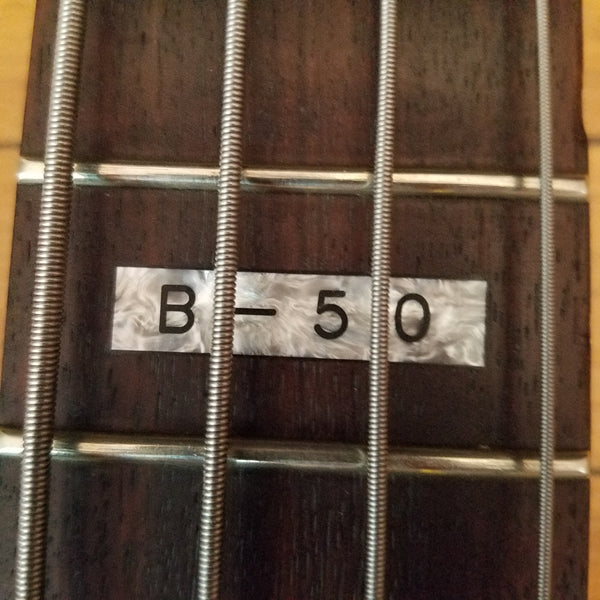 ESP LTD B-50 4 String Bass - Evolution Music
