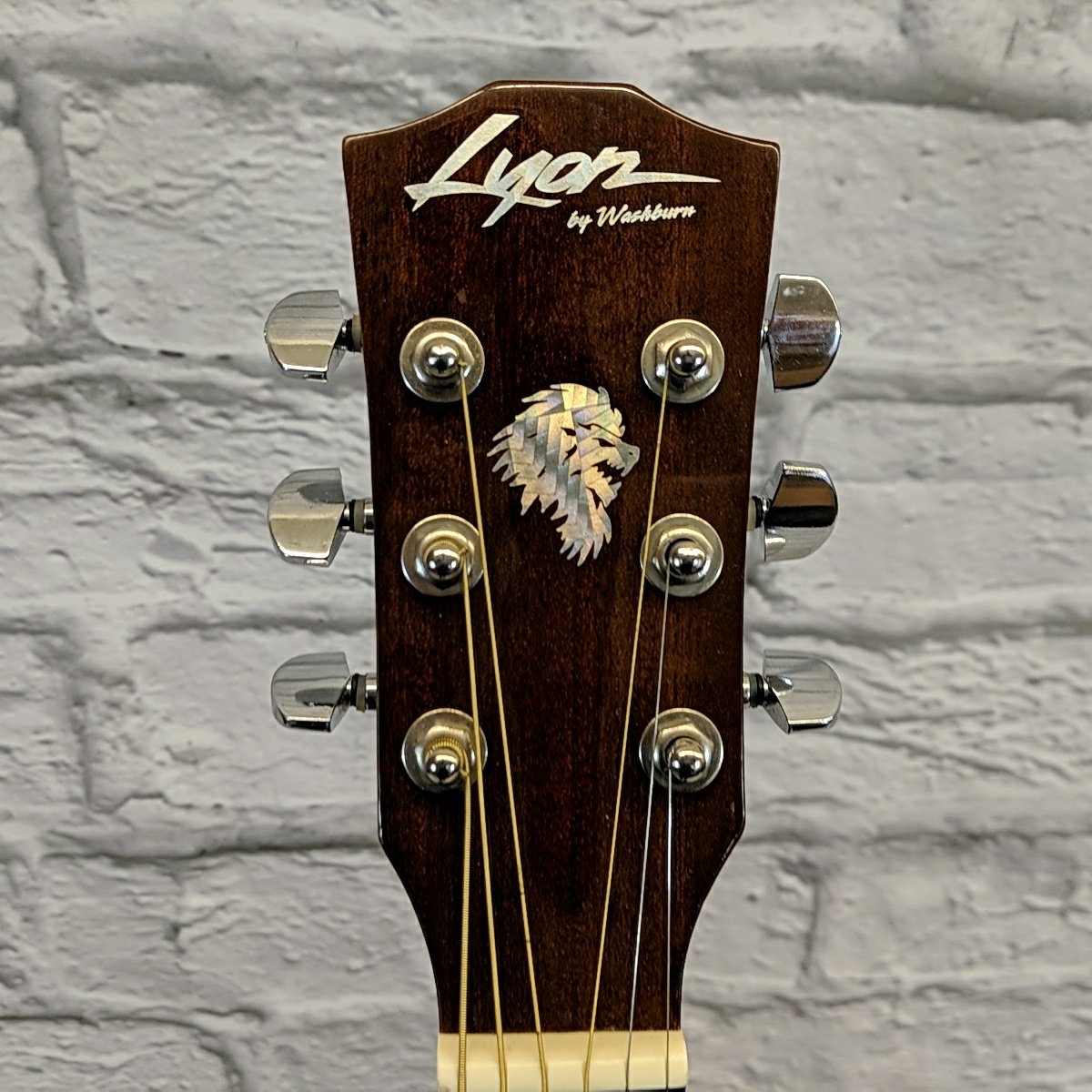 Lyon LG2TPAK Acoustic Guitar - Evolution Music