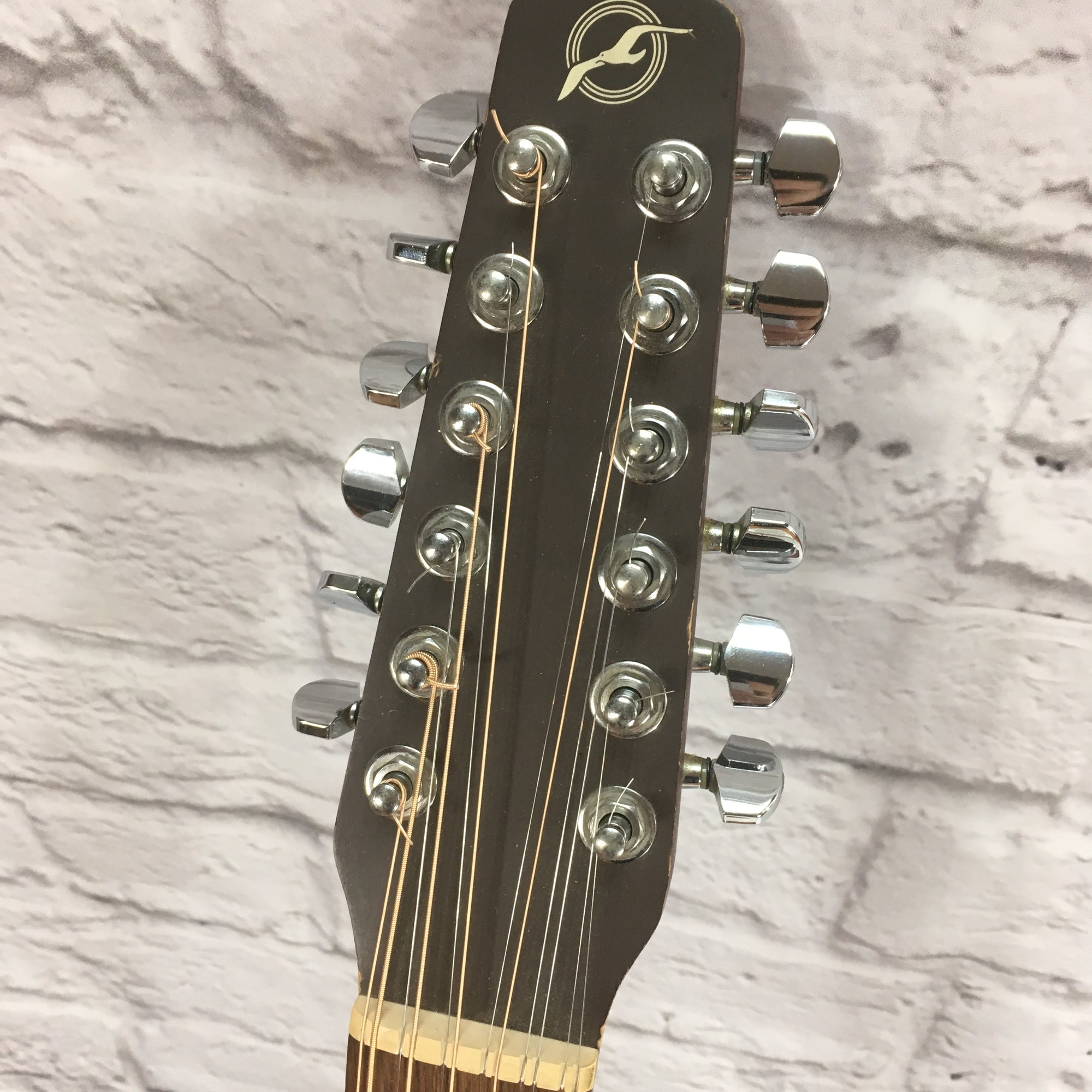 Seagull S12 + Cedar Acoustic Guitar - Evolution Music