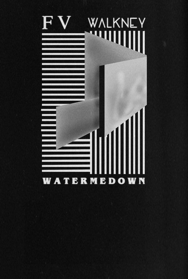 WATERMEDOWN, Walkney, and FV at Evolution Music in Downers Grove