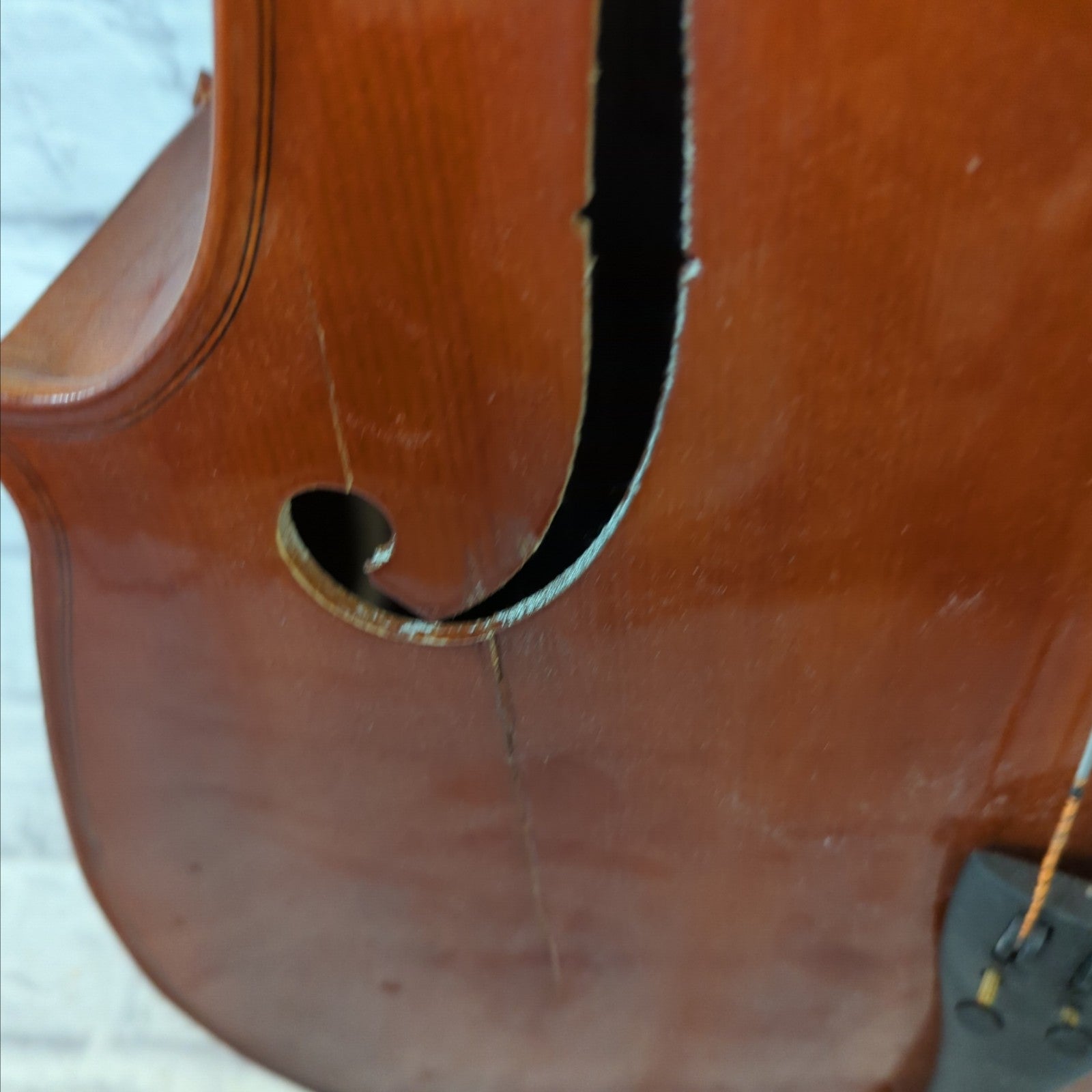 Florea Recital II Cello Outfit 4/4 Size - Evolution Music
