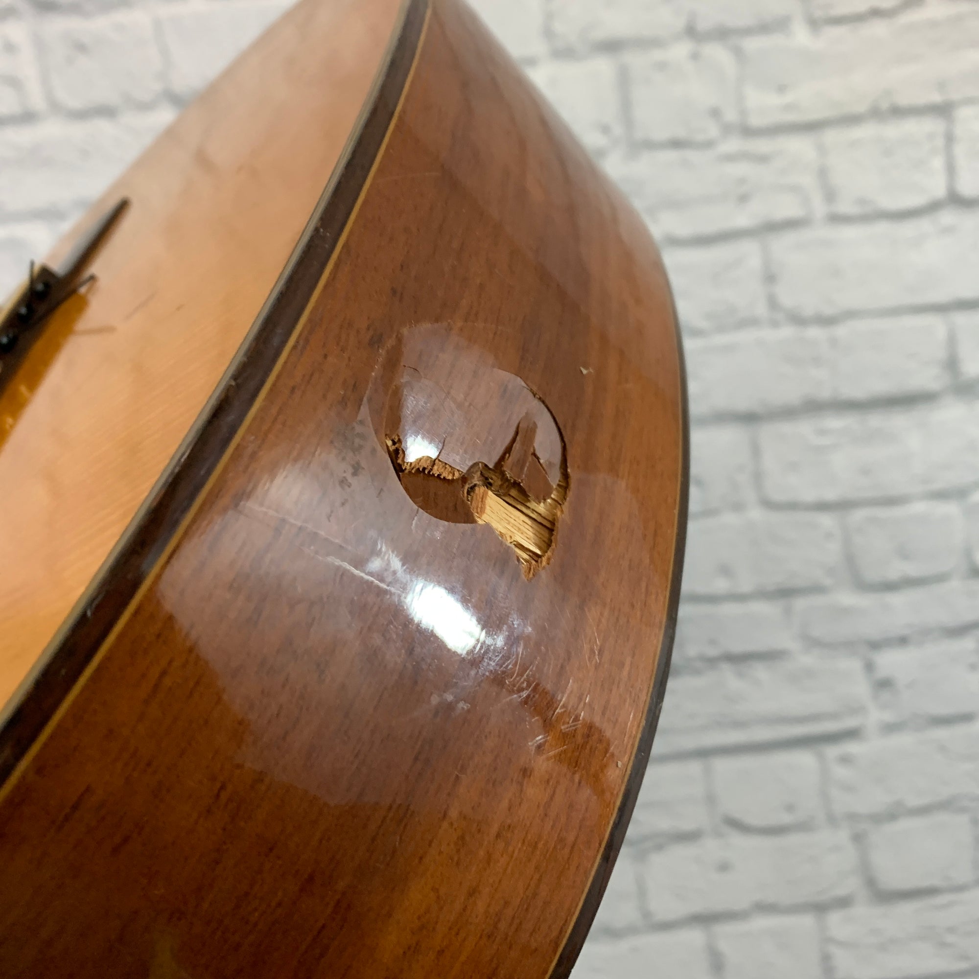 Yamaha G231 II Classical Acoustic Guitar - Evolution Music