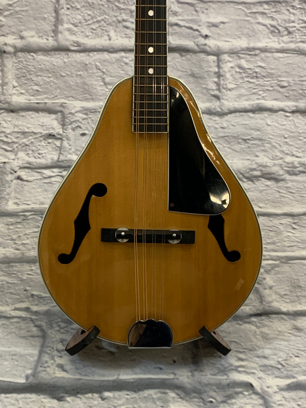 Vintage Hondo II A-Style Mandolin - Evolution Music