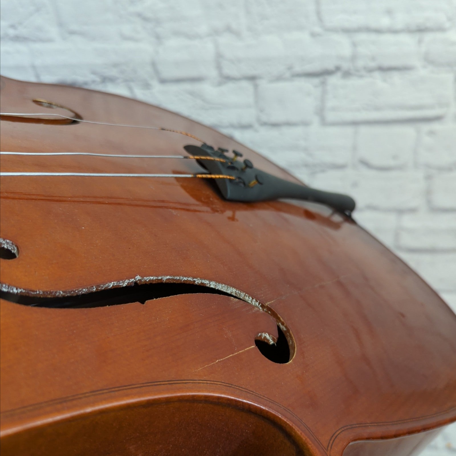 Florea Recital II Cello Outfit 4/4 Size - Evolution Music