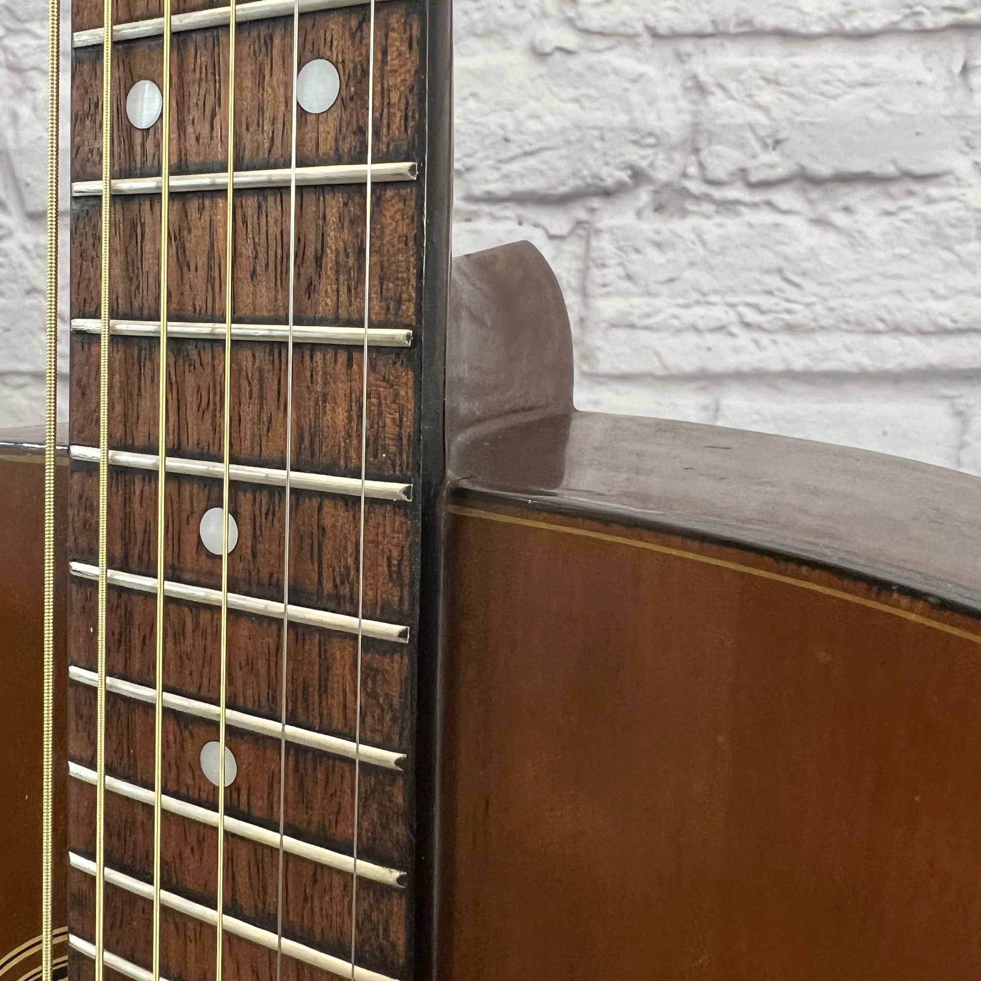 Kay K500 Starter Series - Evolution Music