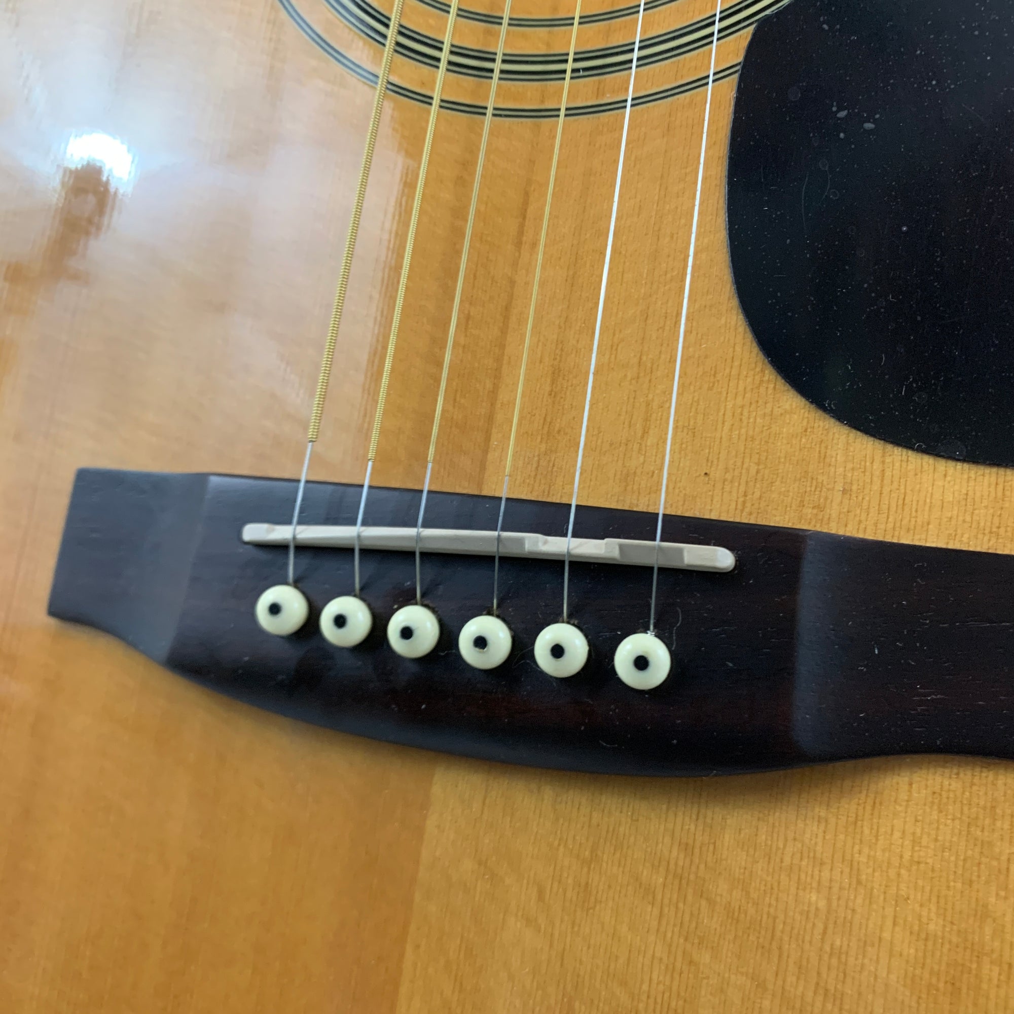 Peavy LP-001 Acoustic Guitar - Evolution Music