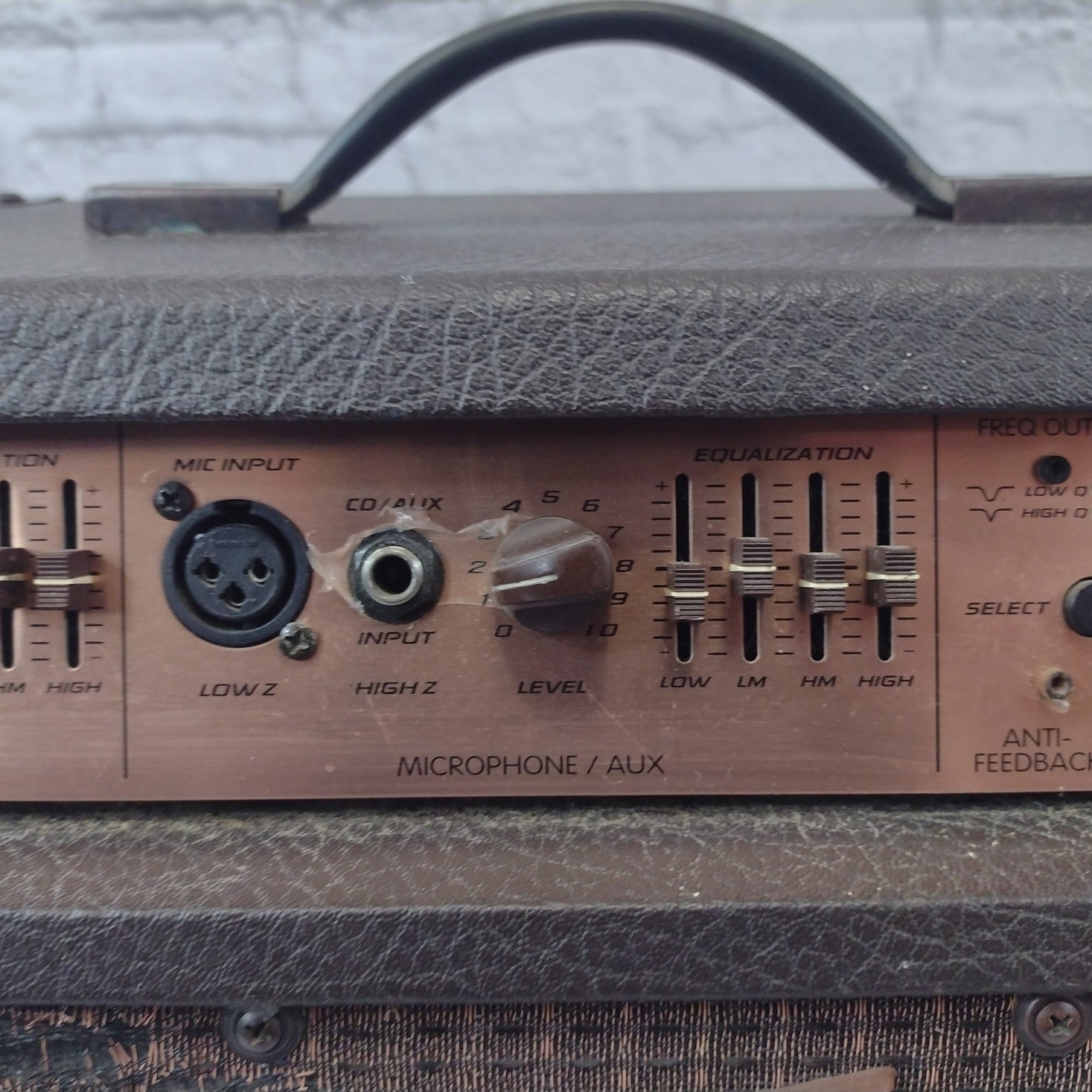 Peavey Ecoustic 110 EFX Acoustic Guitar Combo Amplifier - Evolution Music