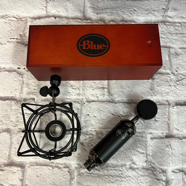 Blue Spark SL Large Diaphragm Studio Condenser Mic with Case Microphon ...