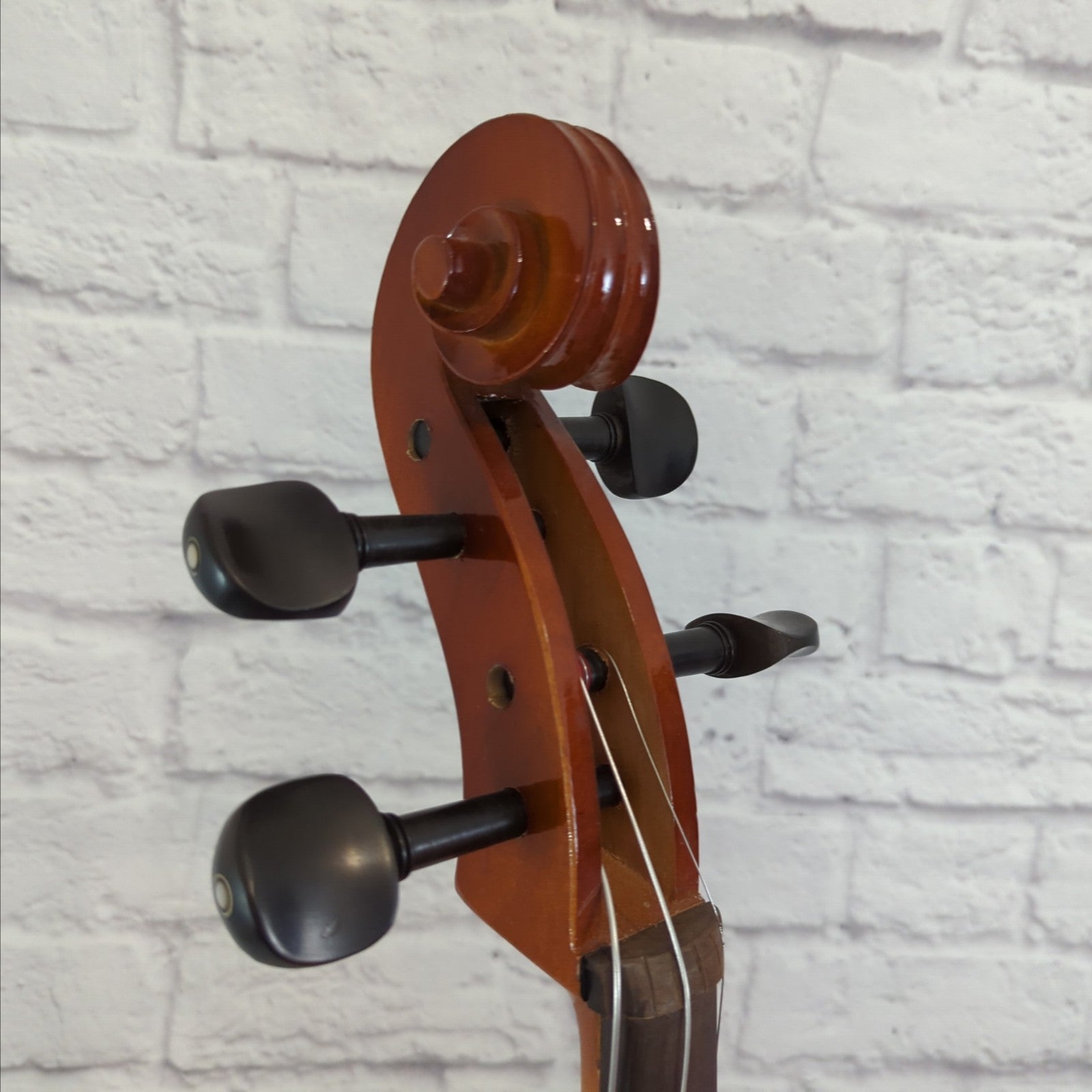 Florea Recital II Cello Outfit 4/4 Size - Evolution Music