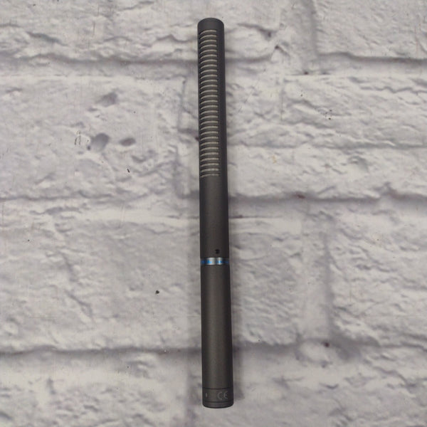 Audio Technica AT897 Line Gradient Condenser Microphone - Evolution Music