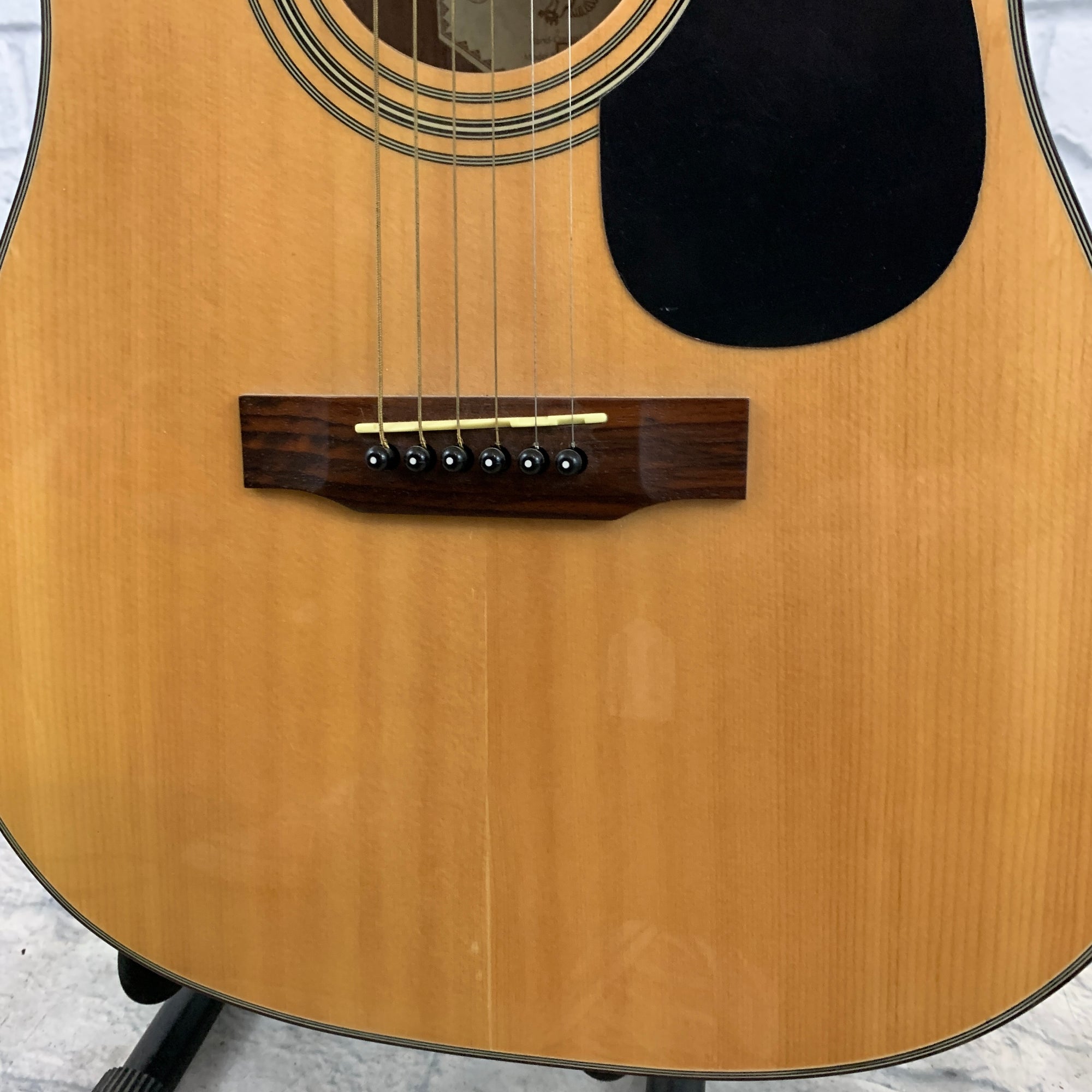 S101 Standard Electric Guitar - Evolution Music