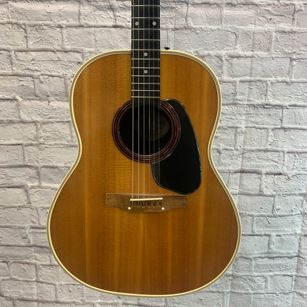 Vintage Applause AA14-4 Acoustic Guitar - Evolution Music