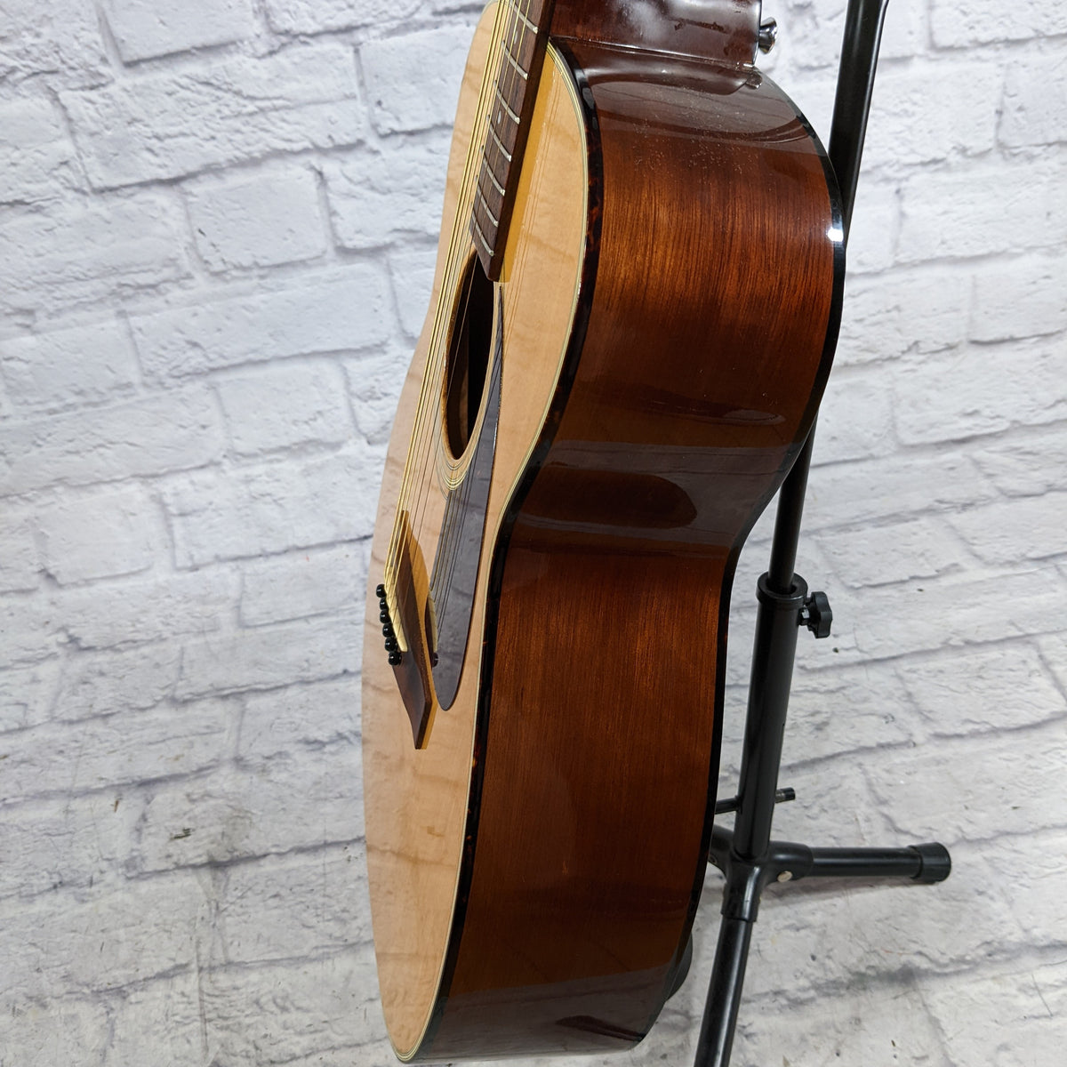 Fender Model F-200 Acoustic Guitar - Evolution Music
