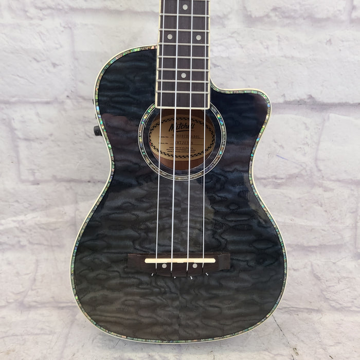 Donner Mandolin Gig Bag - Evolution Music