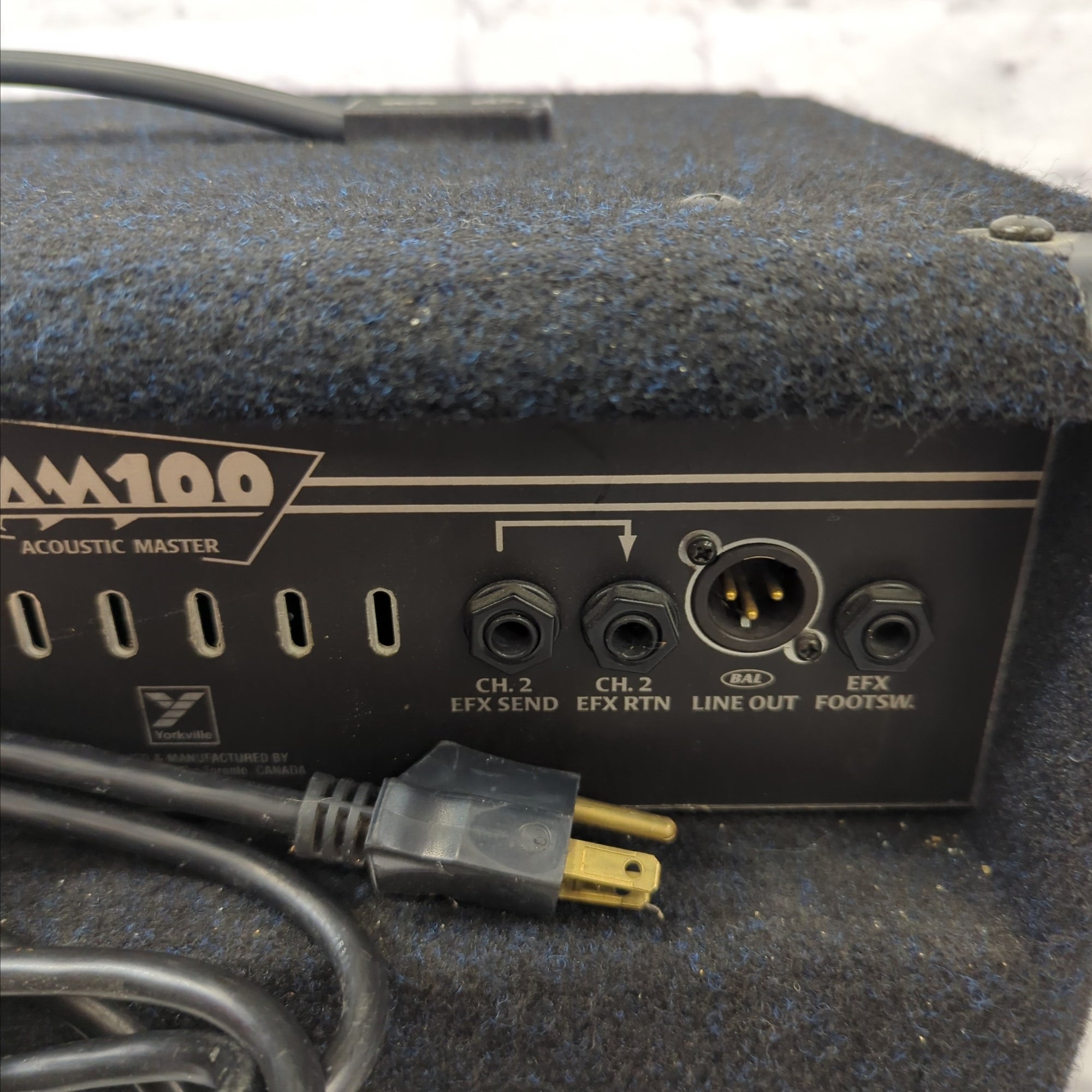 Yorkville AM100 Acoustic Guitar Amp - Evolution Music