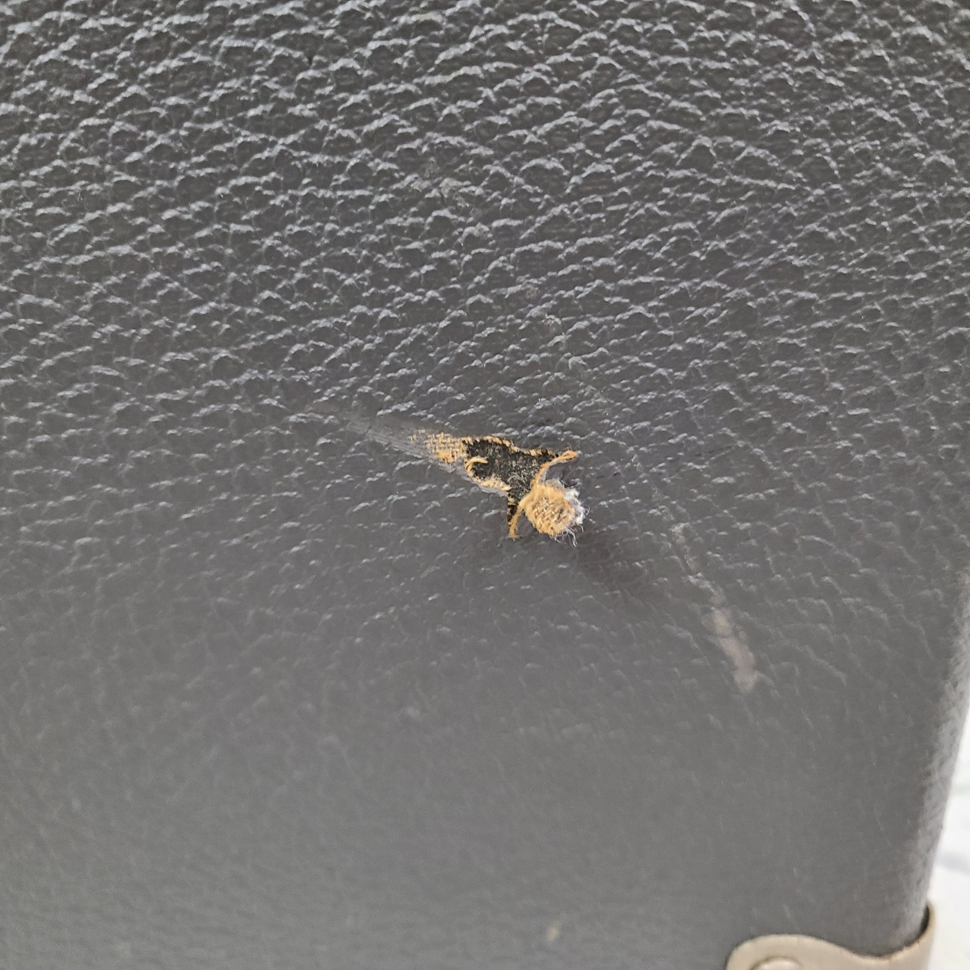 Traynor TS-50 Electric Guitar Amp - Evolution Music