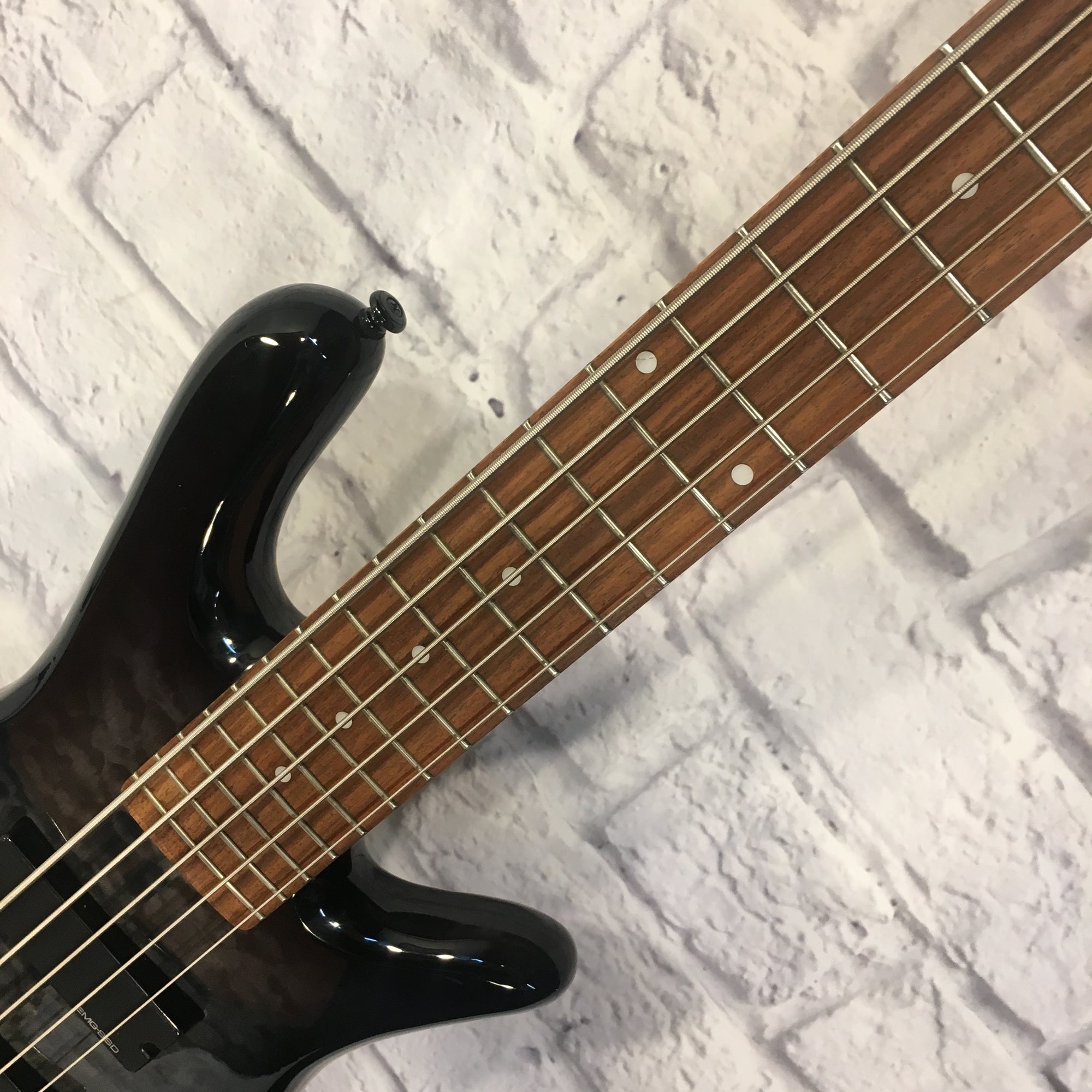 Spector Legend 5 String Bass - Evolution Music