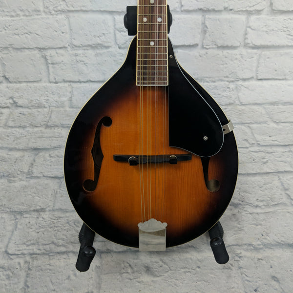 Johnson MA-120 Mandolin - Evolution Music