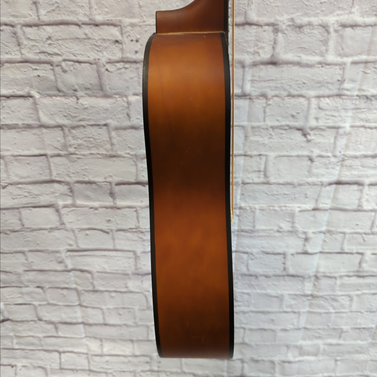 First Act MG380 Acoustic Guitar - Evolution Music