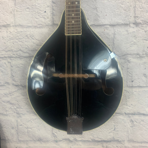 Rogue RM100A A Style Mandolin - Evolution Music