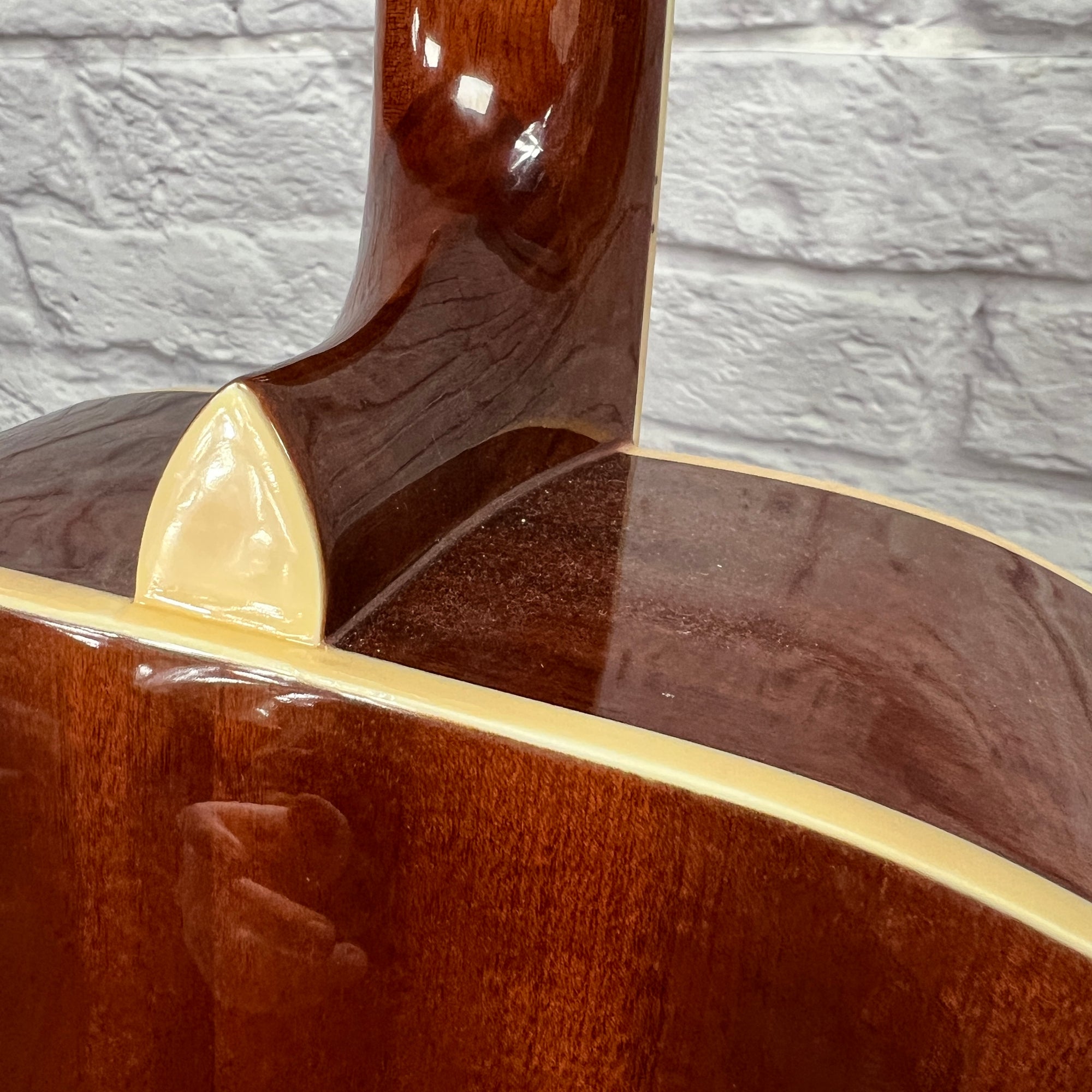 Mitchell D120 Acoustic Guitar - Evolution Music