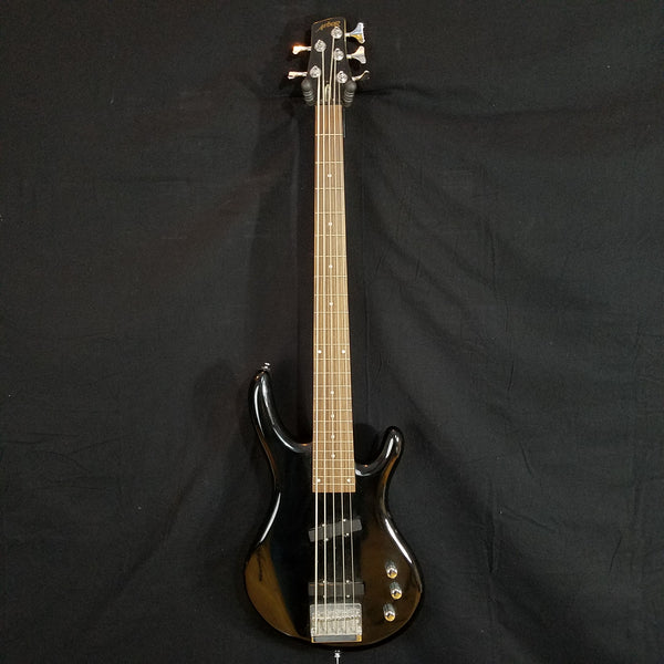 Arbor 5 String Bass - Evolution Music
