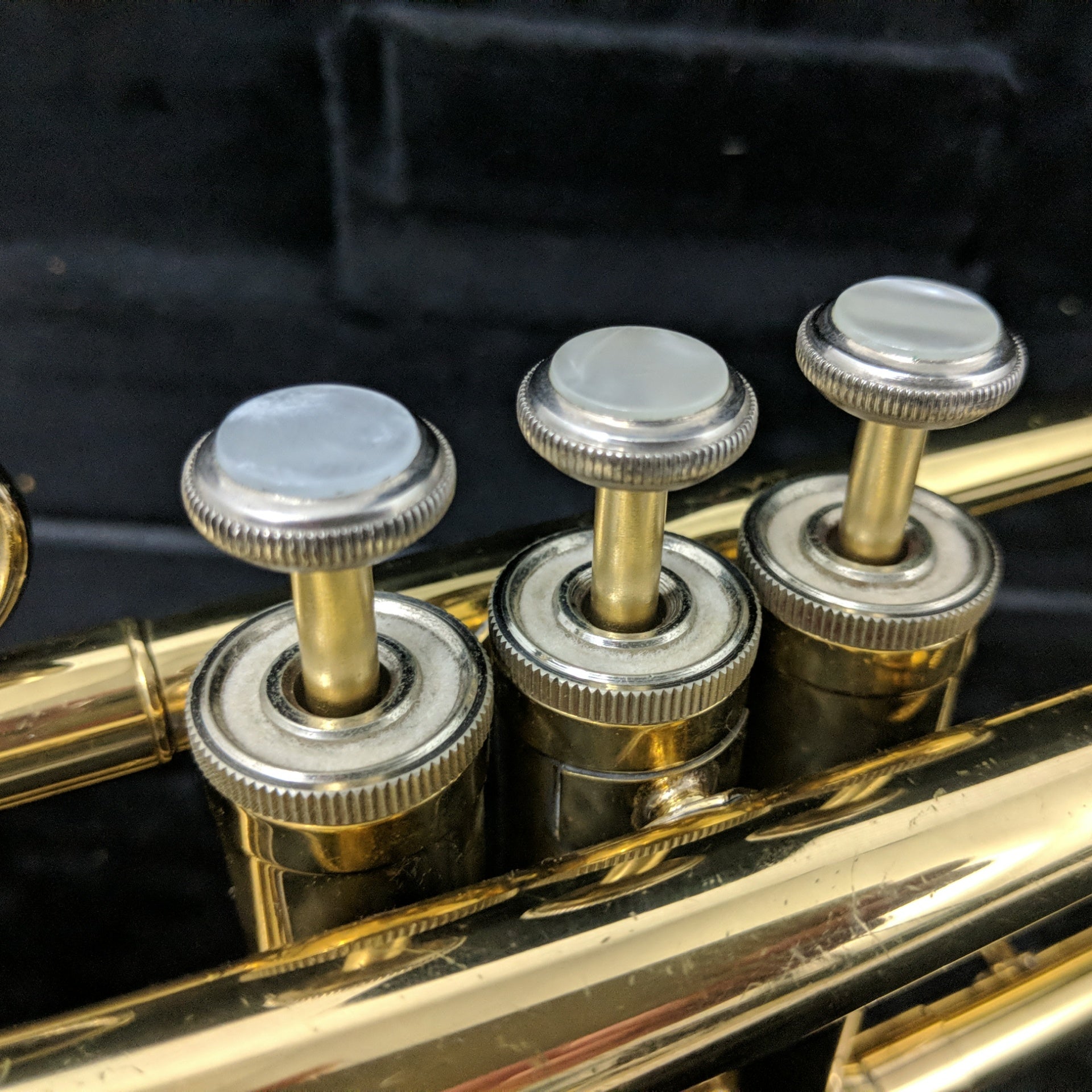 Bach TR300 Student Trumpet With Case - Evolution Music