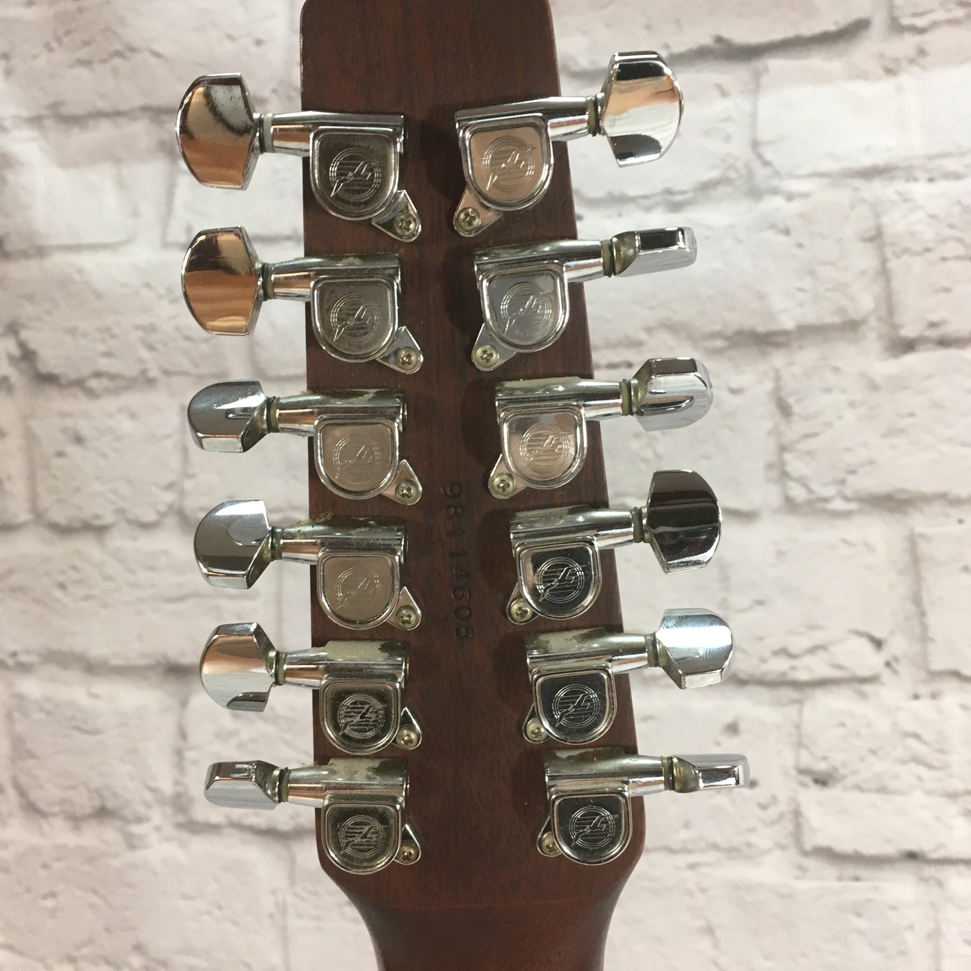 Seagull S12 + Cedar Acoustic Guitar - Evolution Music