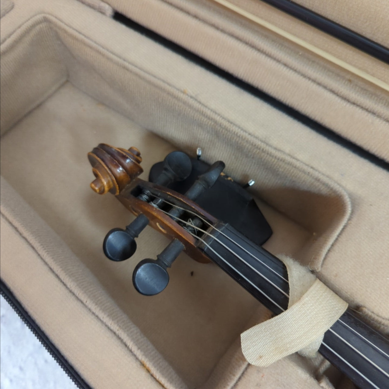 Framus 3/4 Violin with Case and rosin - Evolution Music