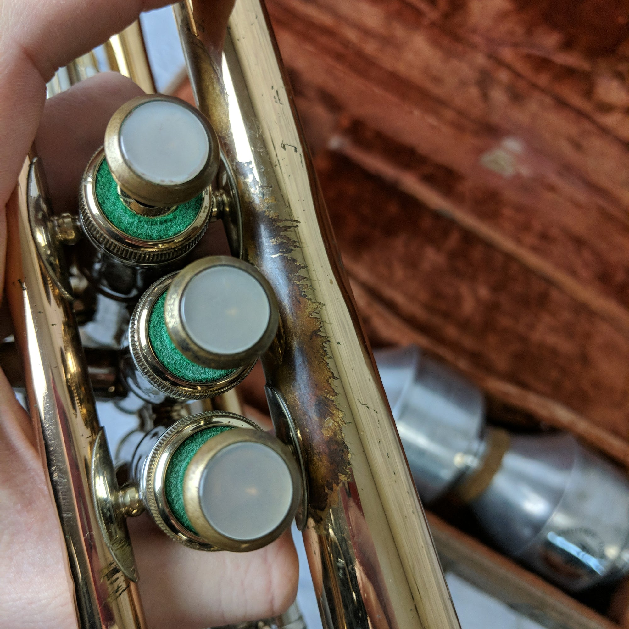 Olds Cornet recording Trumpet - Evolution Music