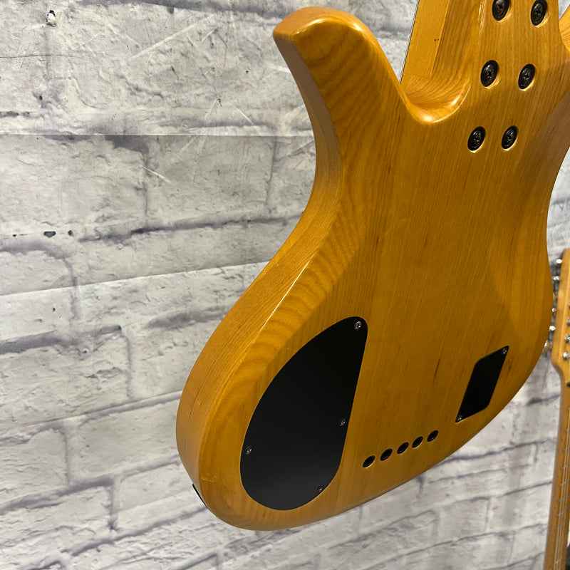 Schecter Riot 5 5-String Bass - Evolution Music