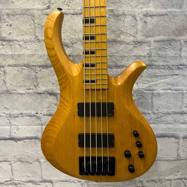 Schecter Riot 5 5-String Bass - Evolution Music