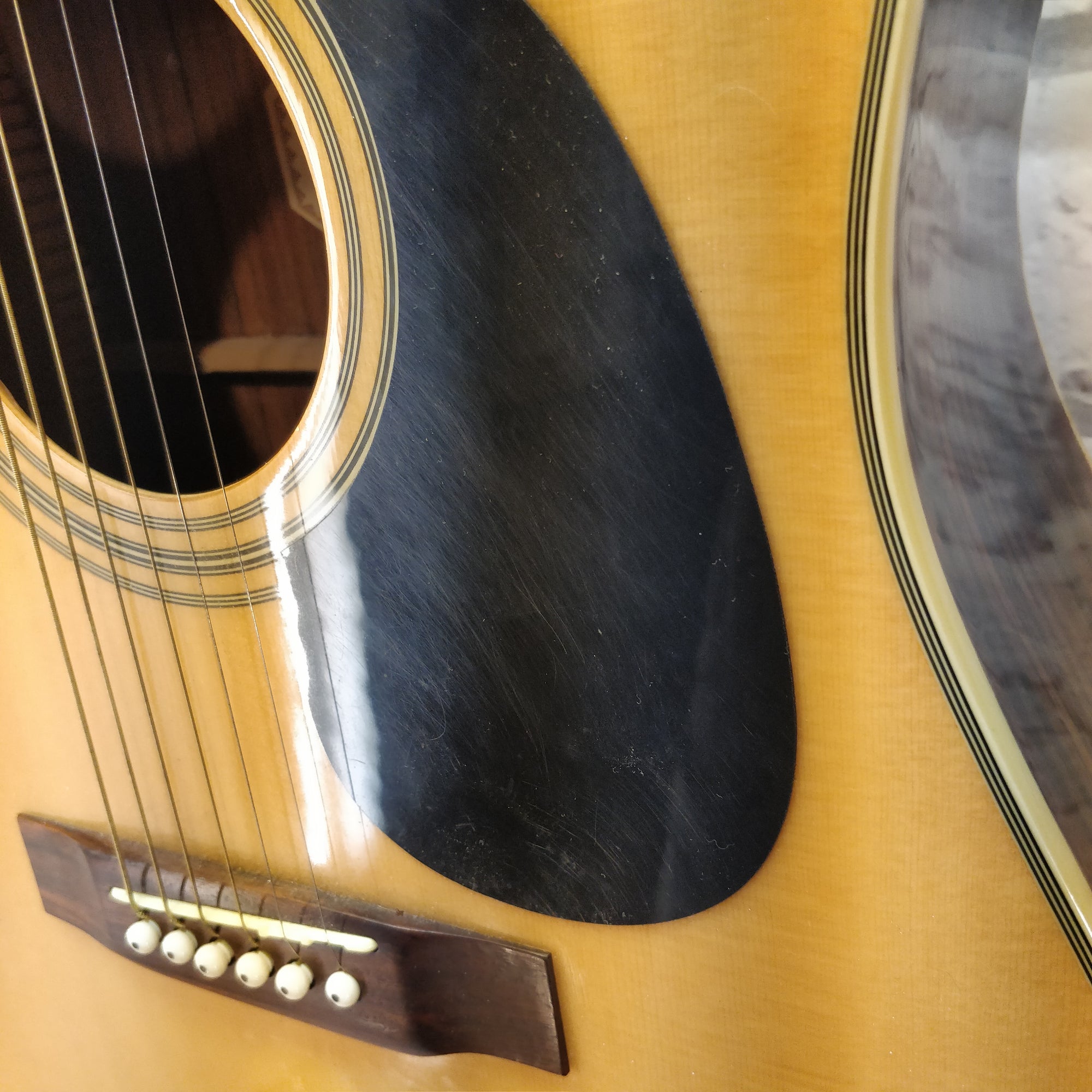 S101 Standard D41485 Acoustic Guitar - Evolution Music