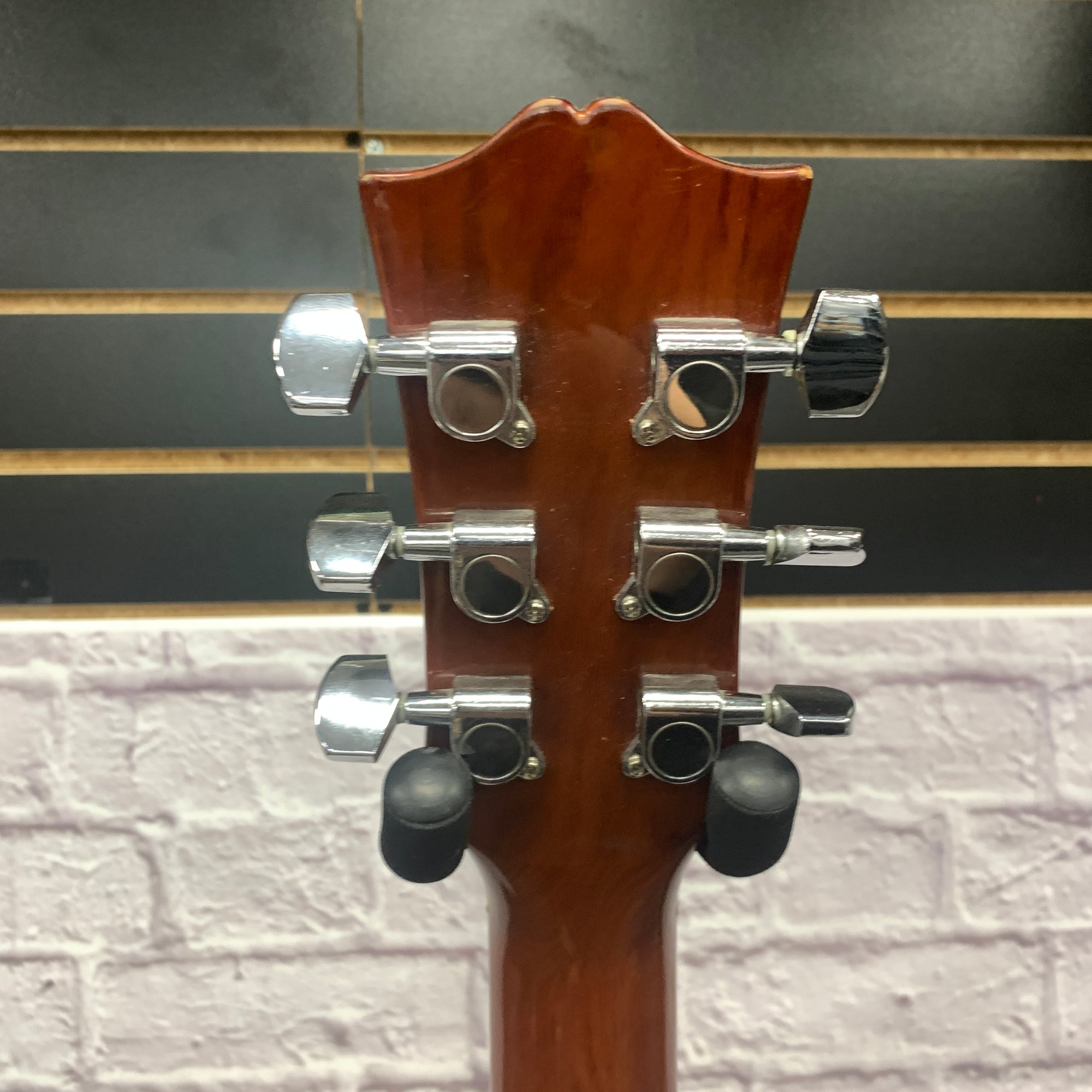 Eleca Cutaway Acoustic Electric Guitar - Evolution Music