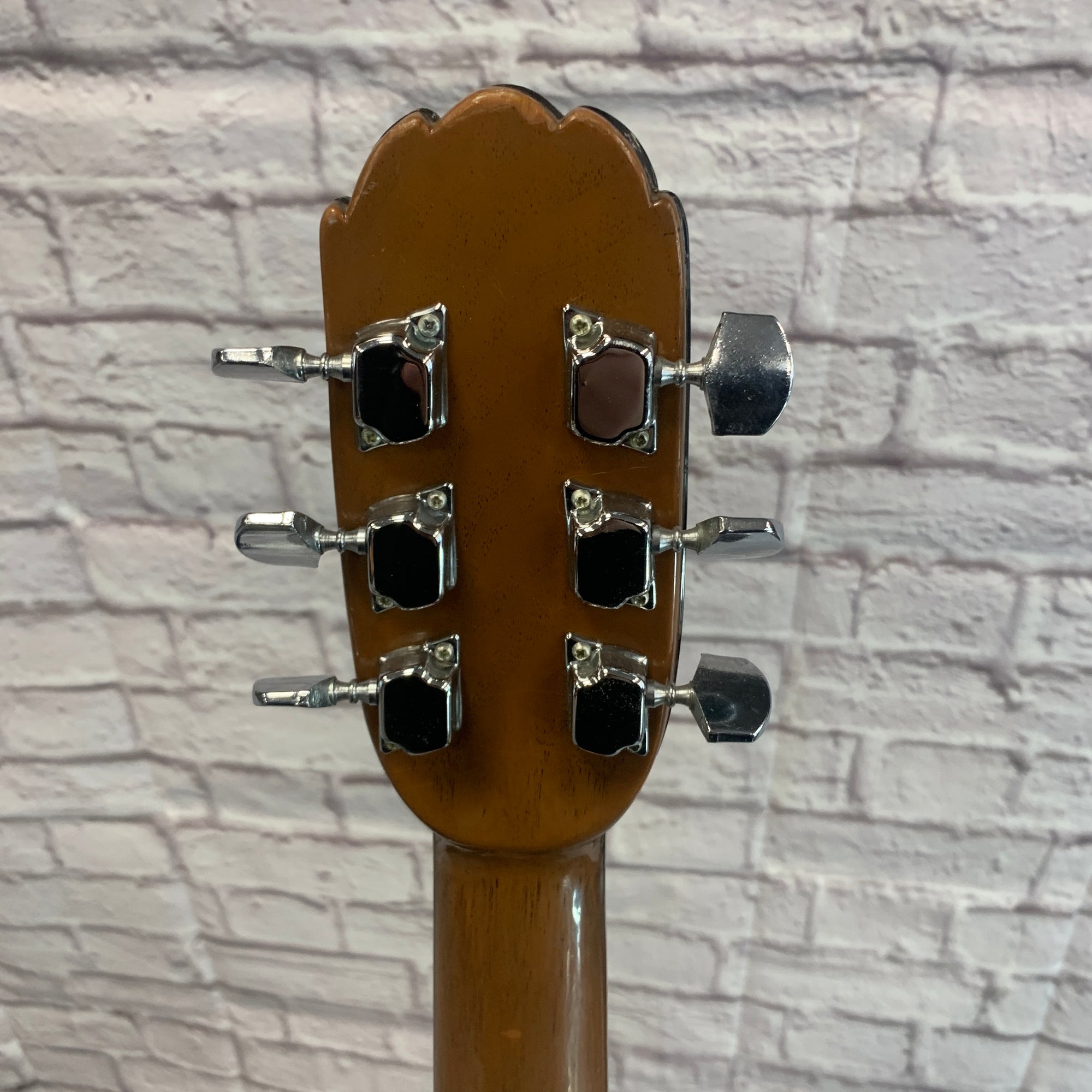 Vintage Applause AA14-4 Acoustic Guitar - Evolution Music