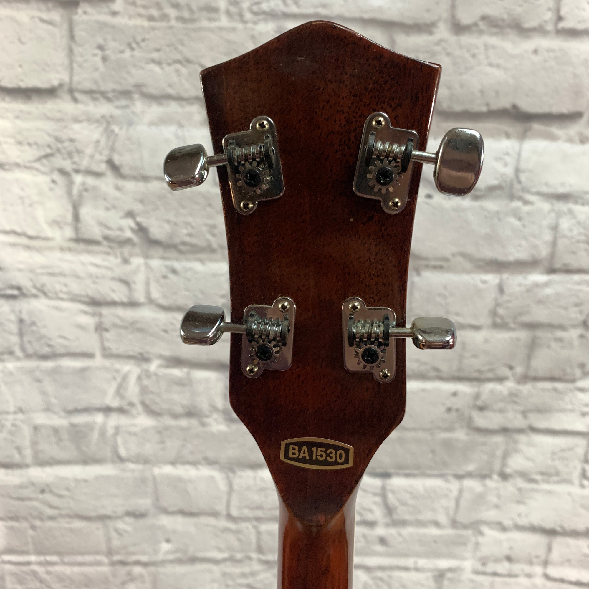 Norma BA1530 5 String Banjo - Evolution Music