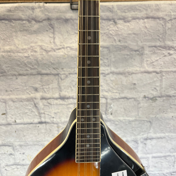 Rogue RM-100A A Style Mandolin - Evolution Music