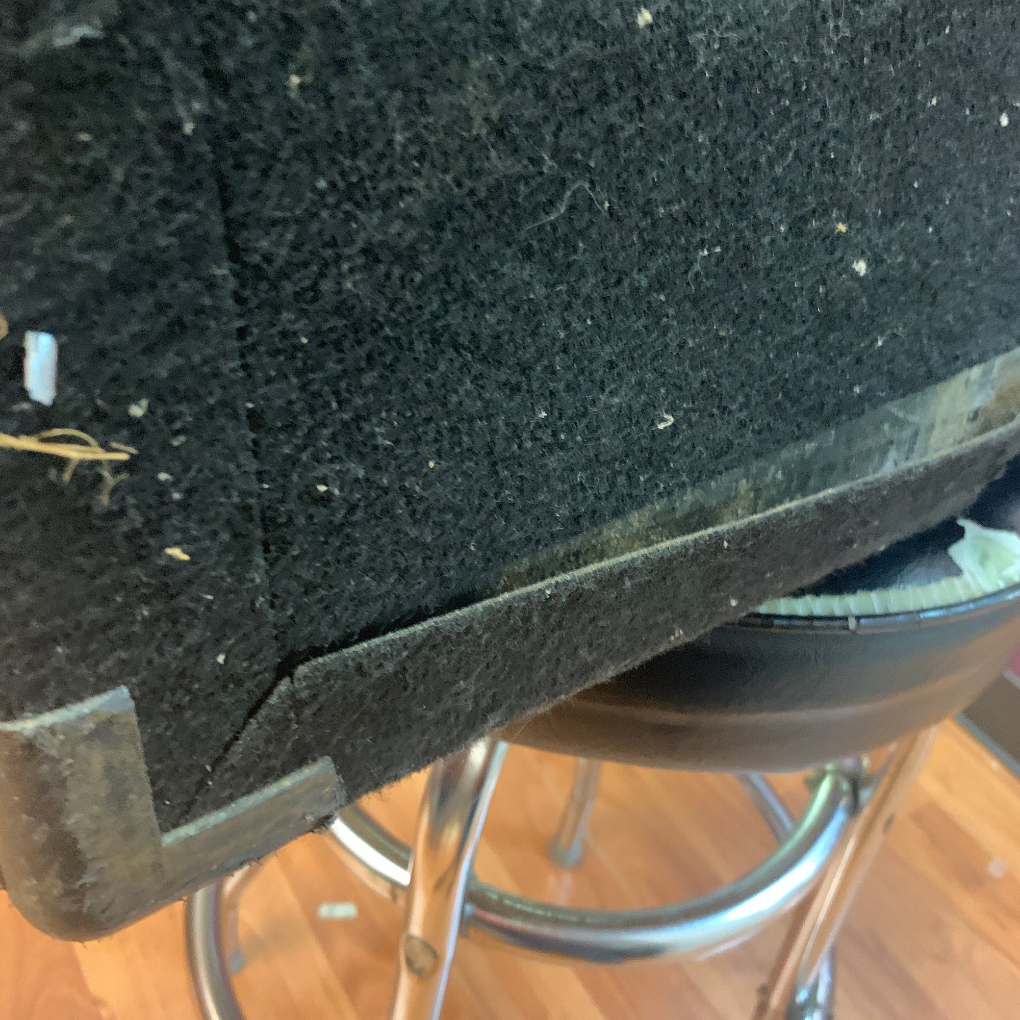 SWR Goliath Jr II 2x10 Bass Cabinet - Evolution Music