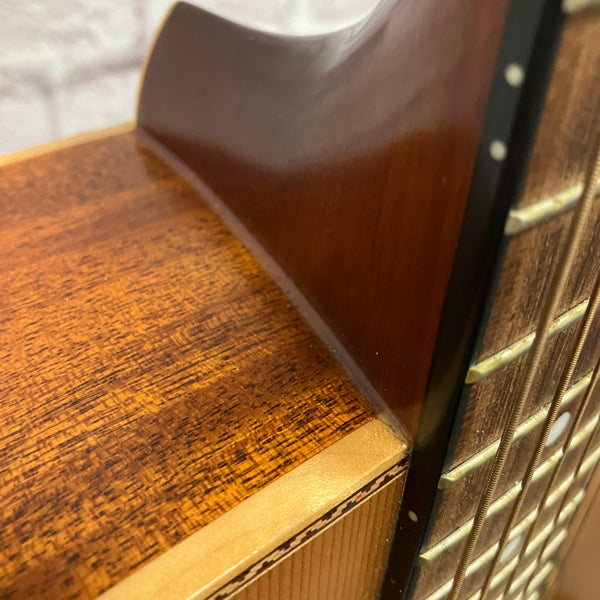 Fender DG-25S Acoustic Guitar - Evolution Music