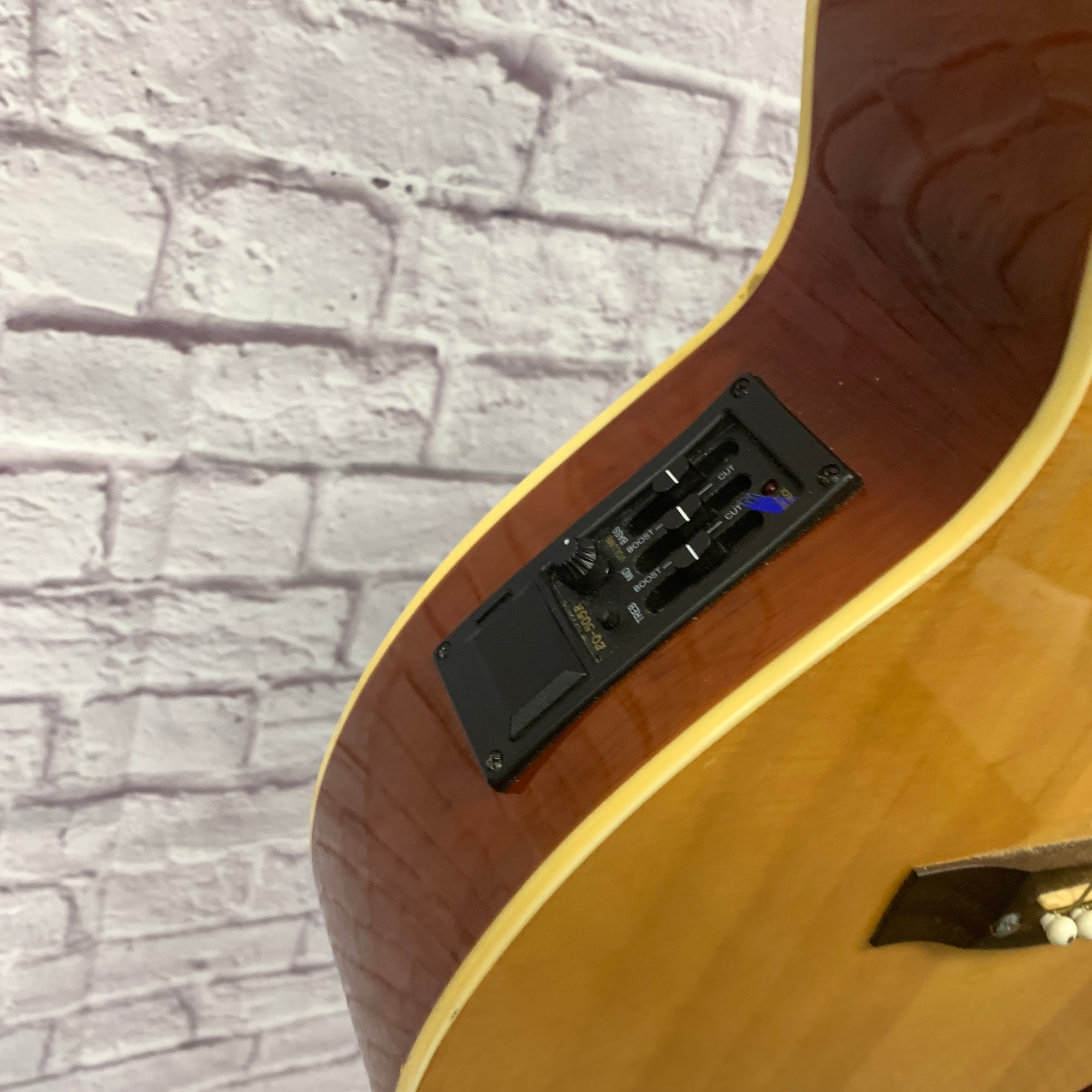 Eleca Cutaway Acoustic Electric Guitar - Evolution Music