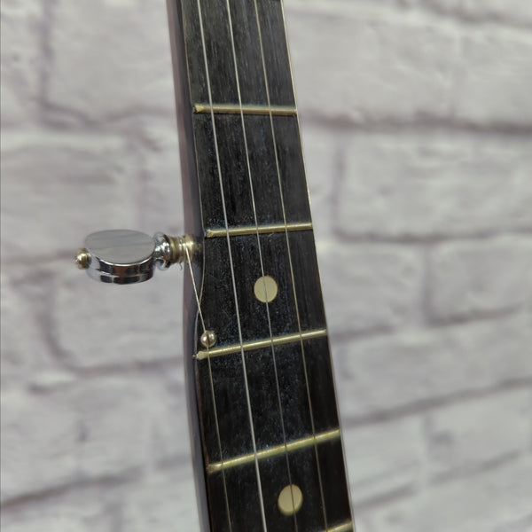 Kay Bicentennial Eagle Back 5 String Banjo c.1976 w/ Case - Evolution Music