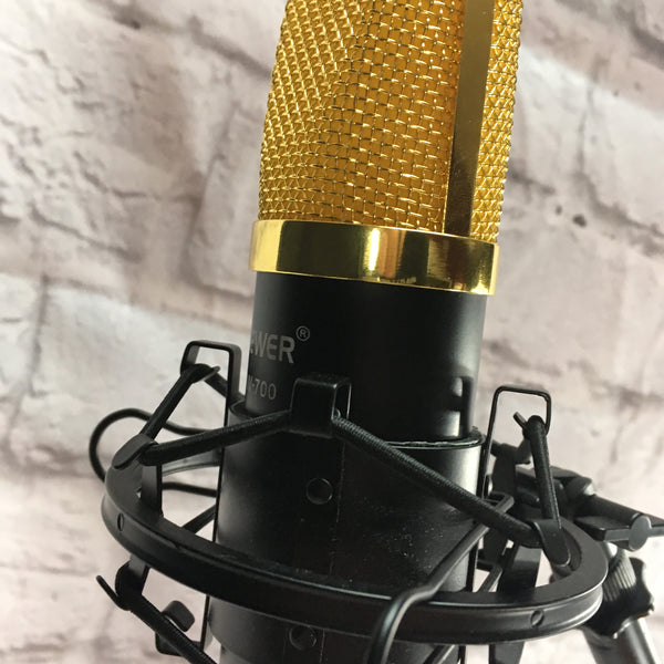 Neewer NW700 Microphone Package - Evolution Music